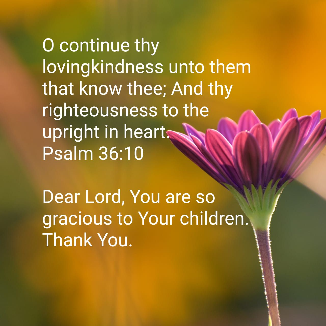 Psalm 36:10 Prayer | Praises & Phrases