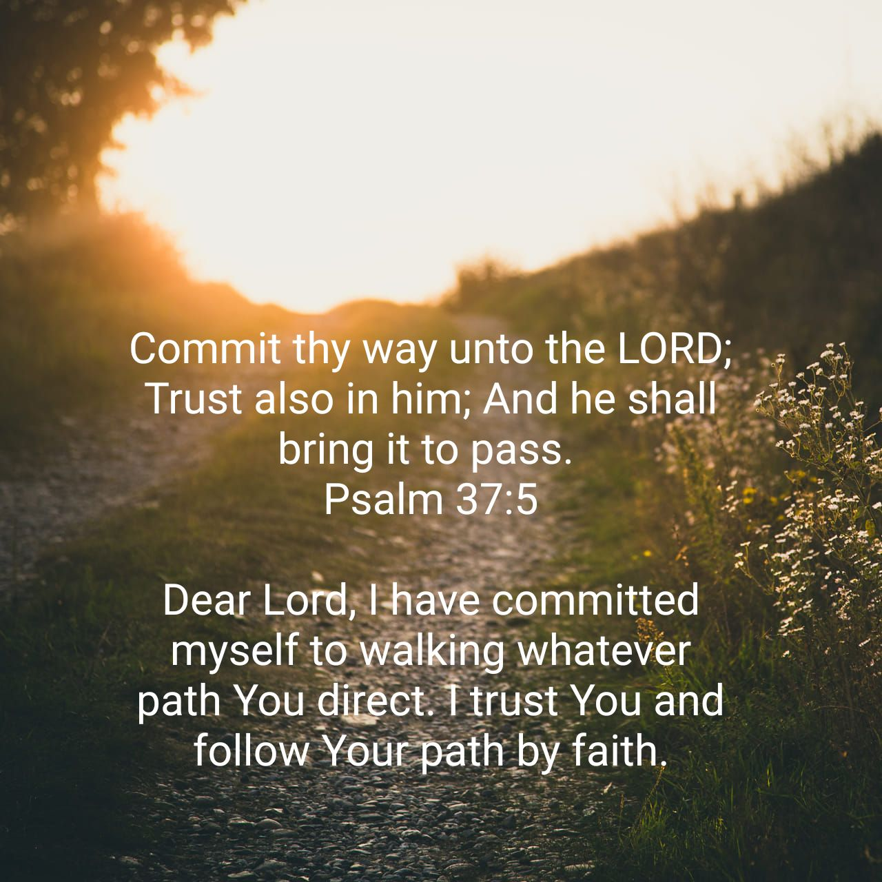Psalm 37:5 Prayer | Praises & Phrases