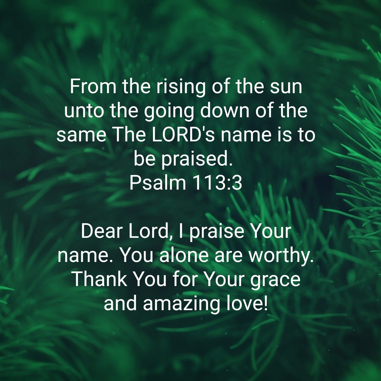 Psalm 113:3 Prayer | Praises & Phrases