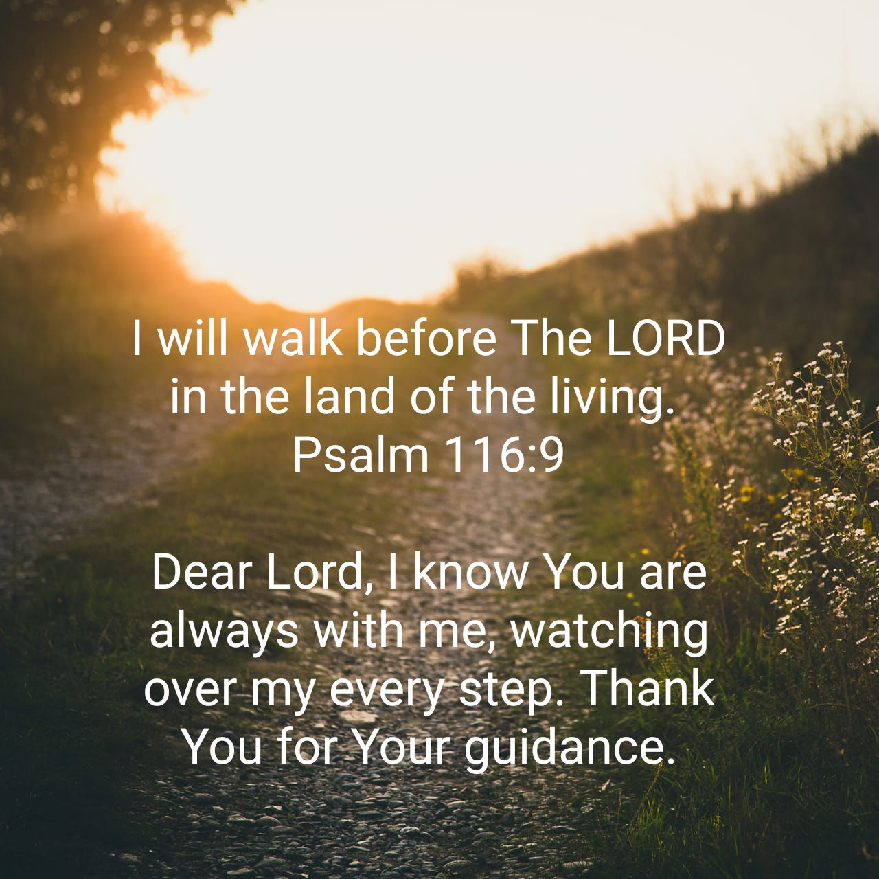 Psalm 116:9 Prayer | Praises & Phrases