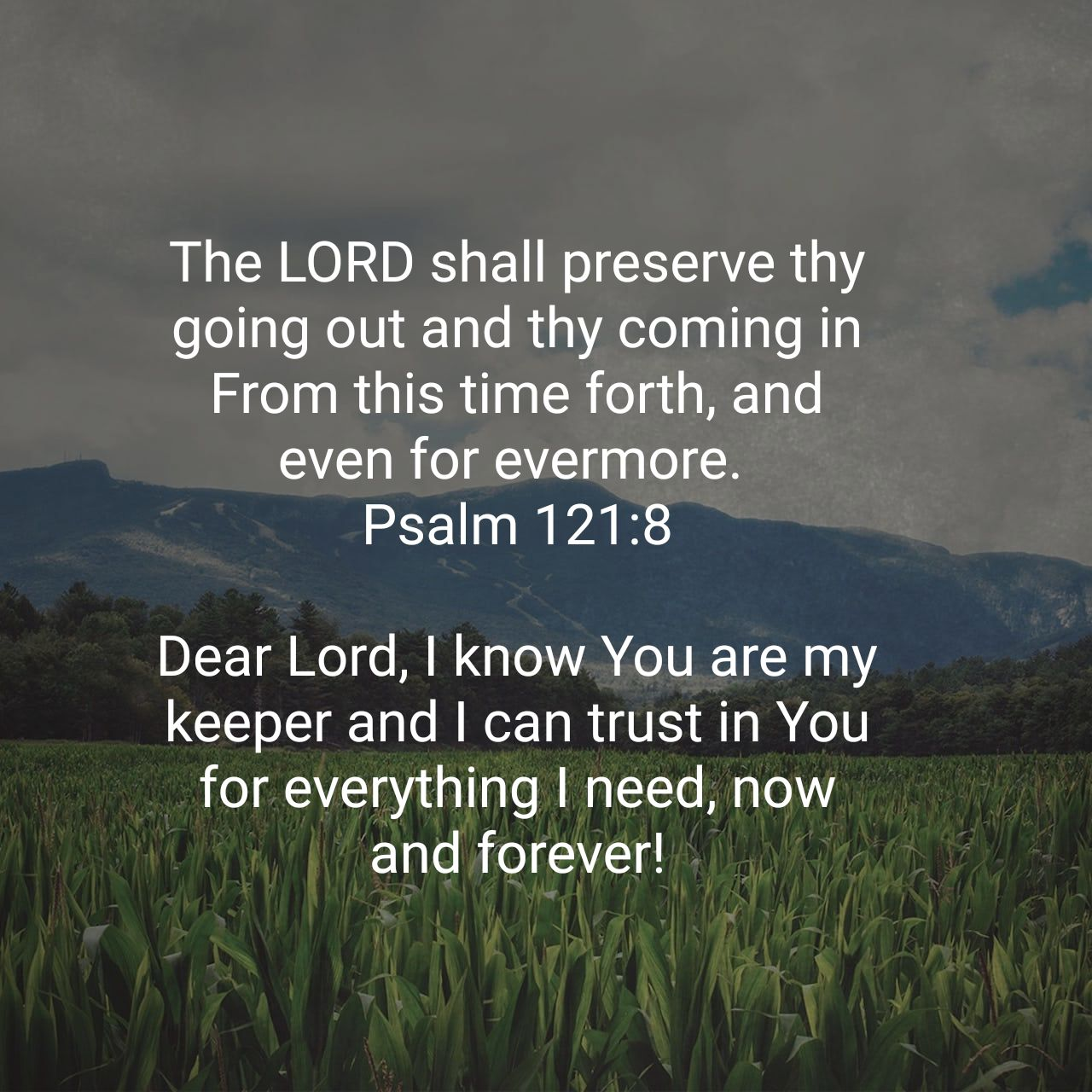 Psalm 121:8 Prayer | Praises & Phrases