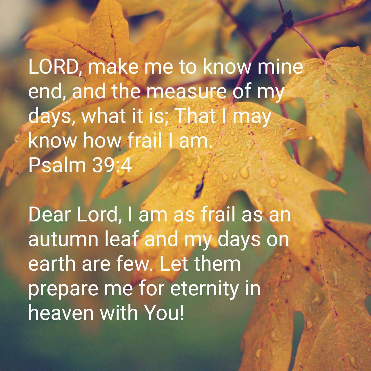 ‭Psalm 39:4 Prayer | Praises & Phrases