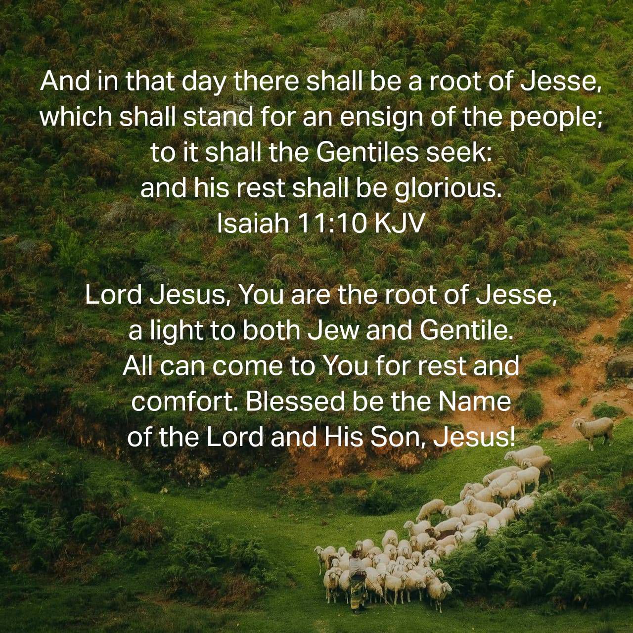 Isaiah 11:10 Prayer | Praises & Phrases
