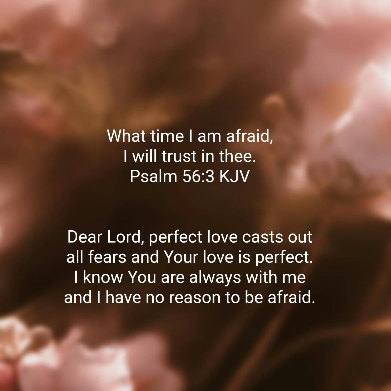 Psalm 56:3 Prayer | Praises & Phrases