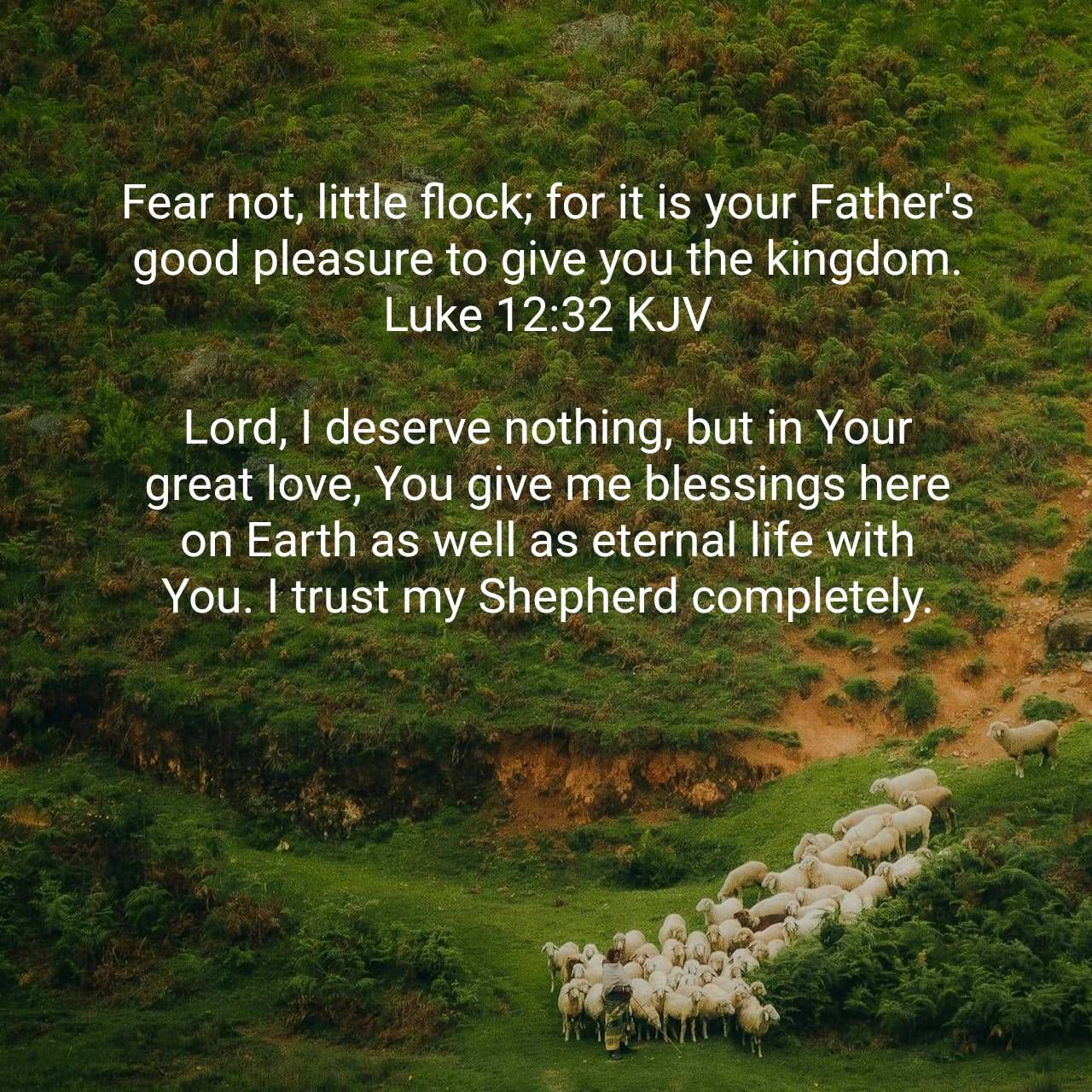 Luke 12:32 Prayer | Praises & Phrases