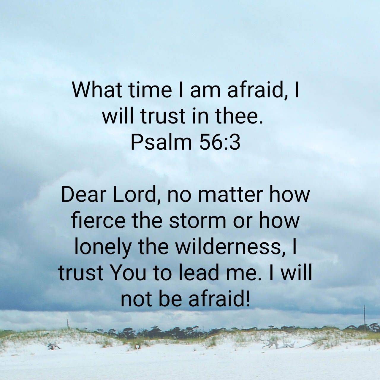 Psalm 56:3 Prayer | Praises & Phrases